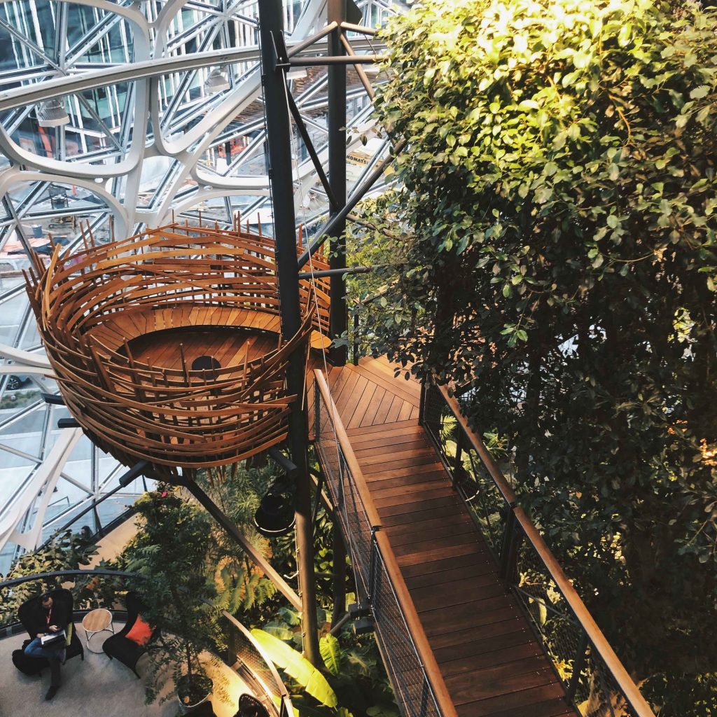 Amazon Seattle Spheres | Heritage School of Interior Design Seattle | Blog